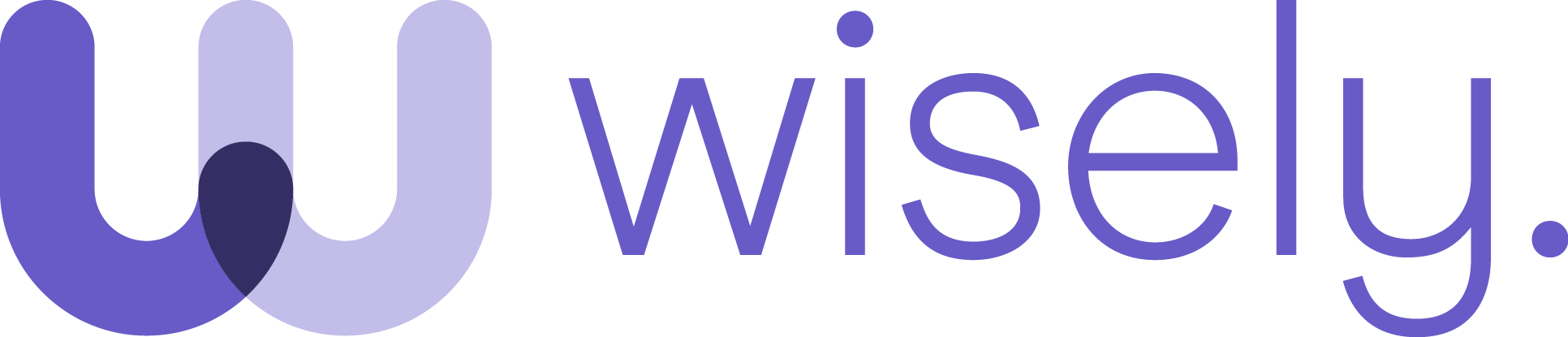 Wisely - built by fundraisers for fundraisers.